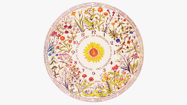 Anna Ridler at the AI Art Gallery | NVIDIA