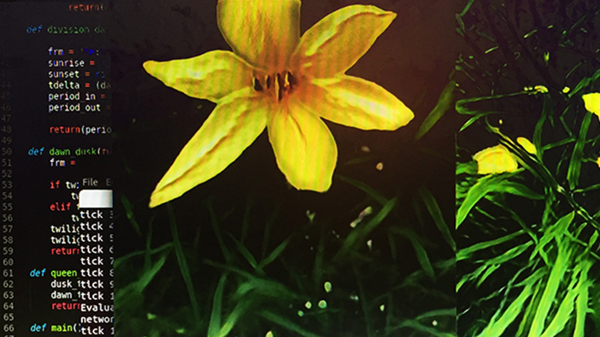 Anna Ridler at the AI Art Gallery | NVIDIA